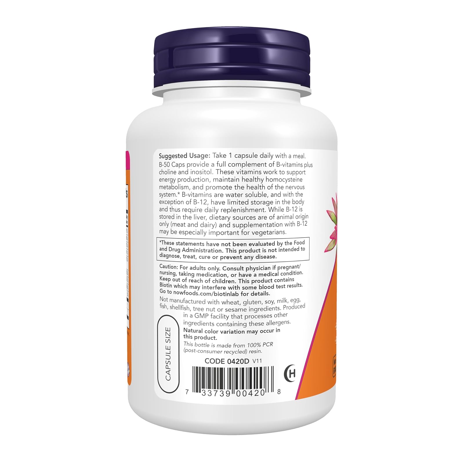 vegan vitamin B complex for energy