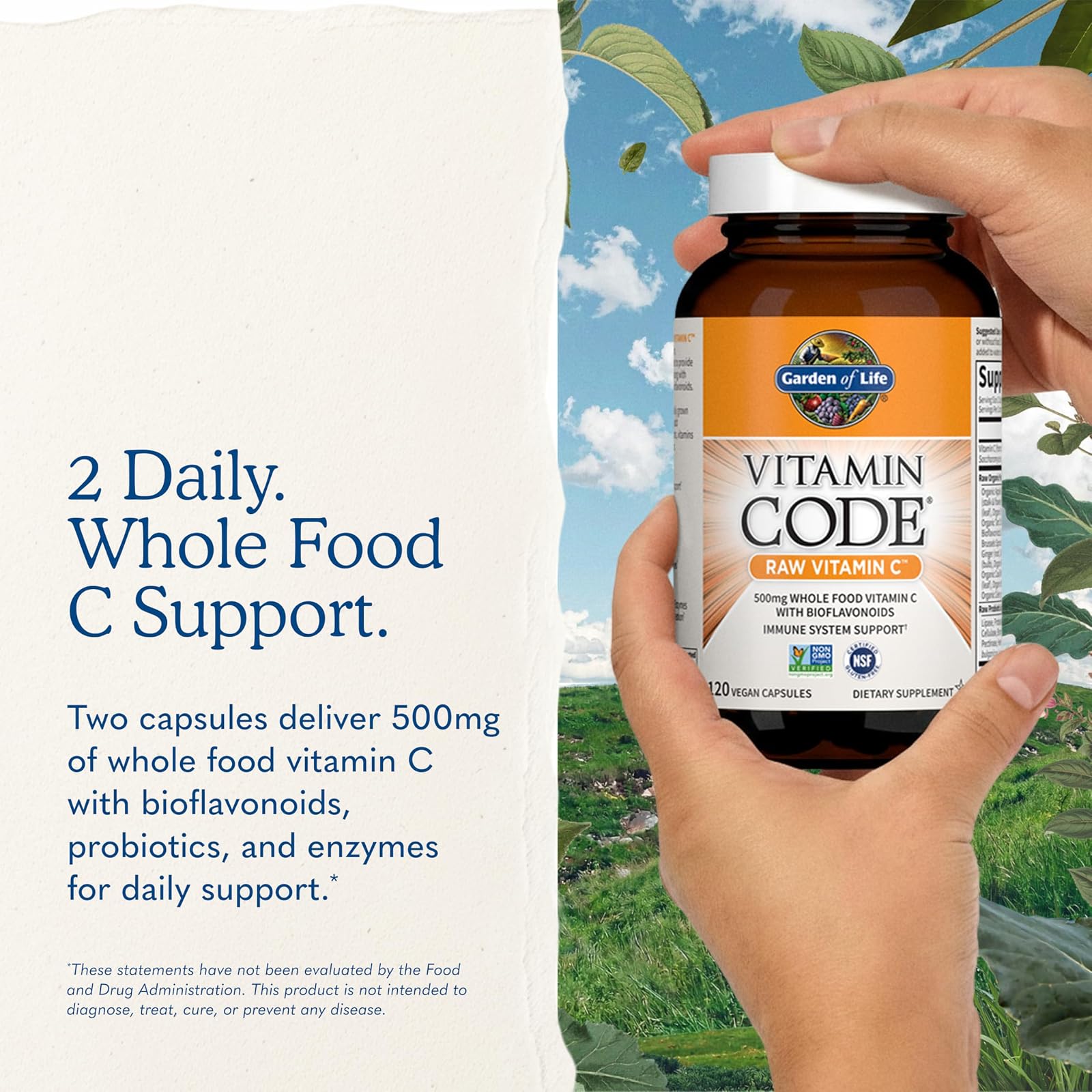 vegan vitamin C for healthy lifestyle