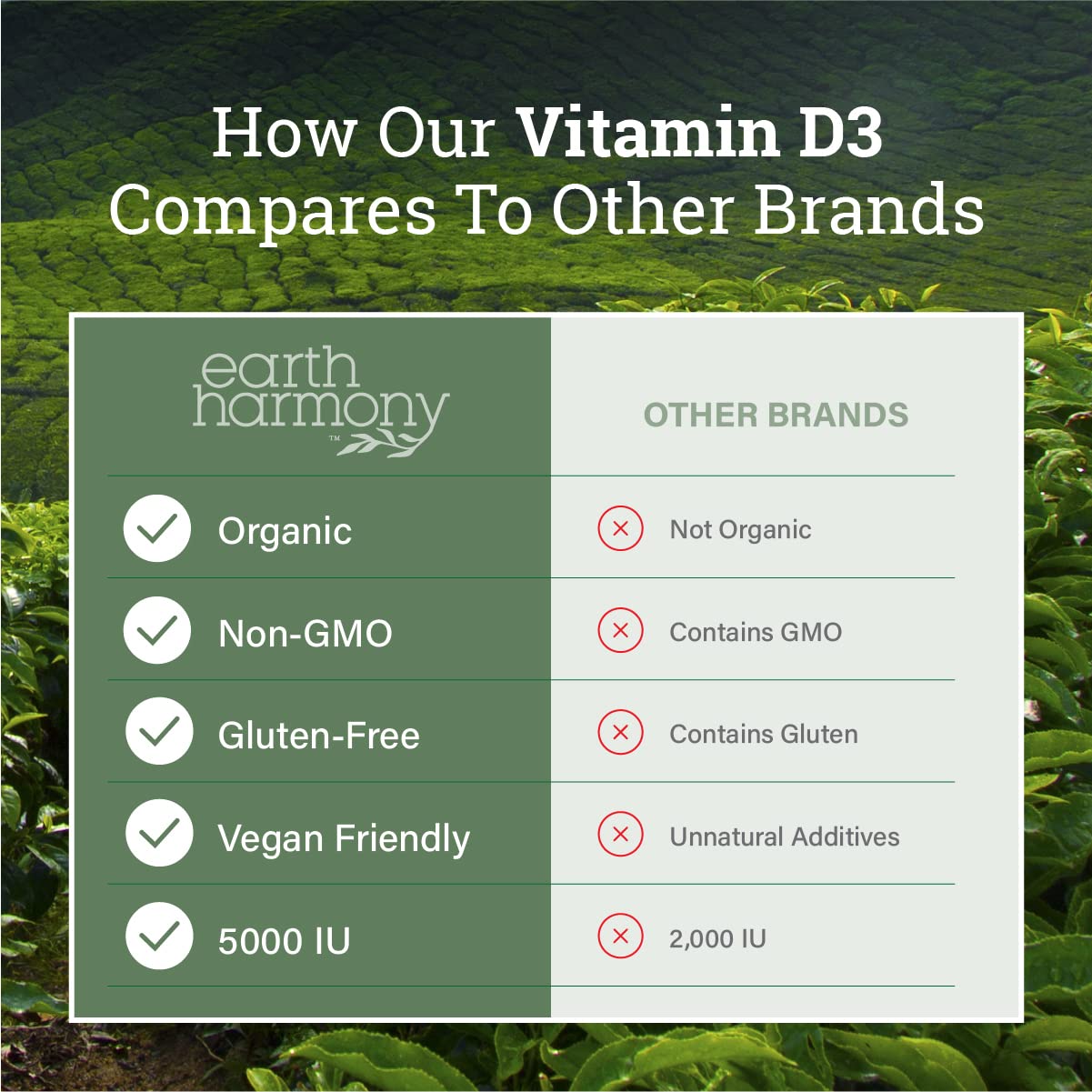 vegan vitamin D3 for bone strength