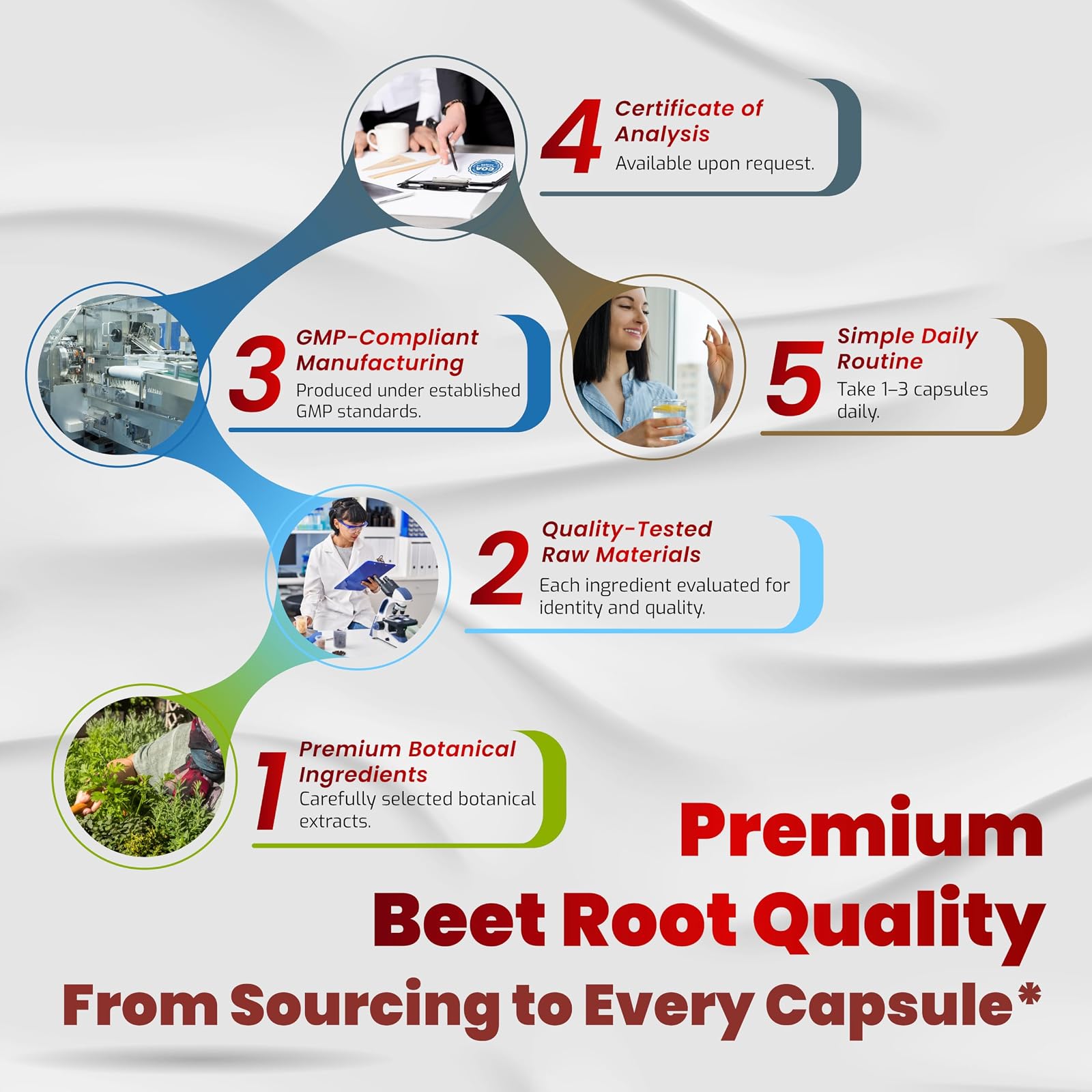 Vegatot superfood beet root benefits