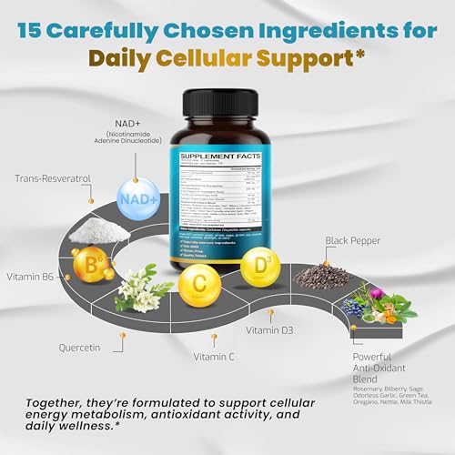 VEGATOT turmeric for active lifestyles