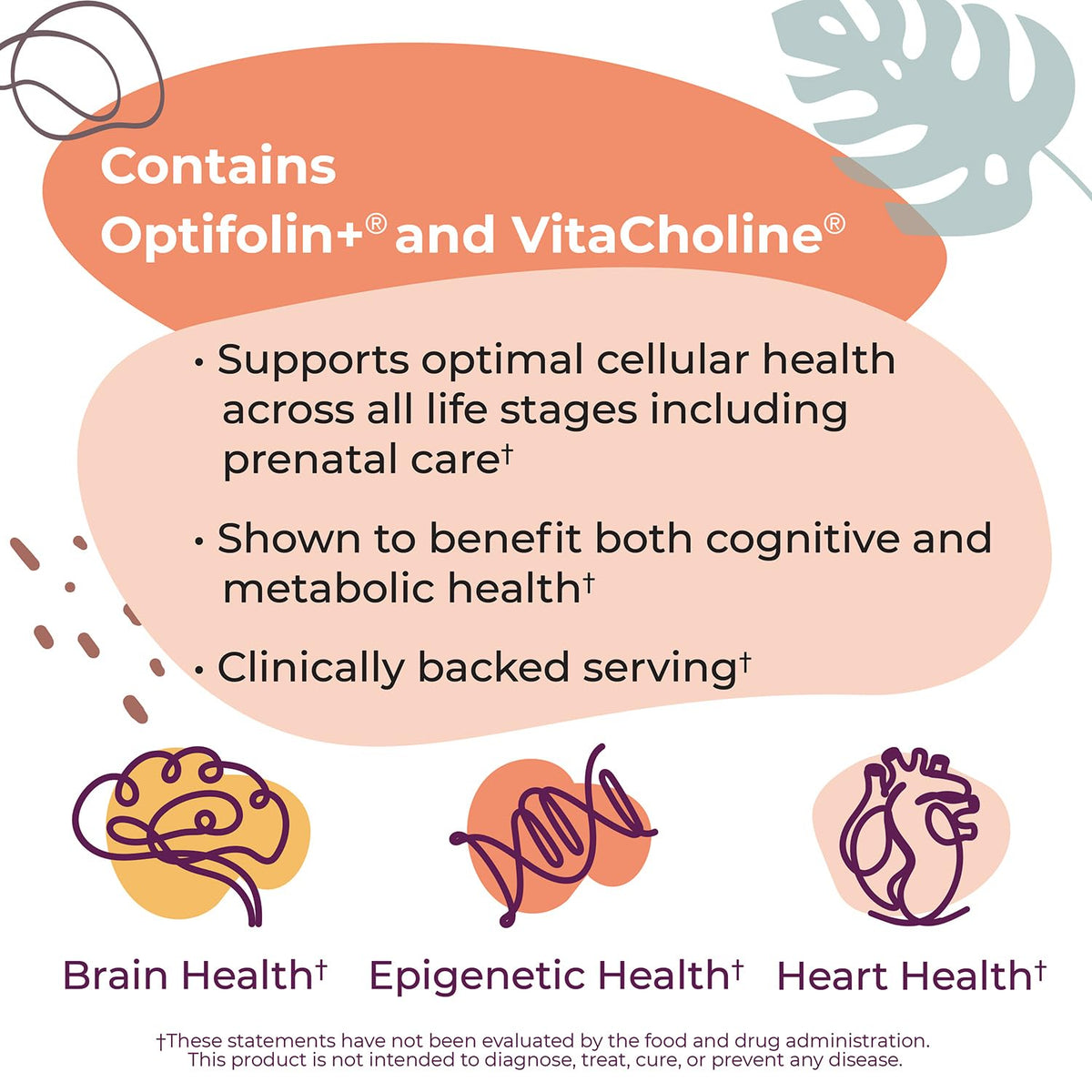 vegetable capsules for easy digestion