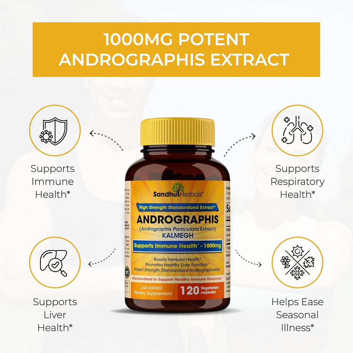 Vegetarian Andrographis for natural wellness