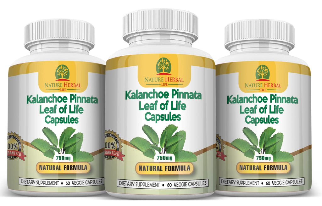 vegetarian blended vitamin & mineral supplements