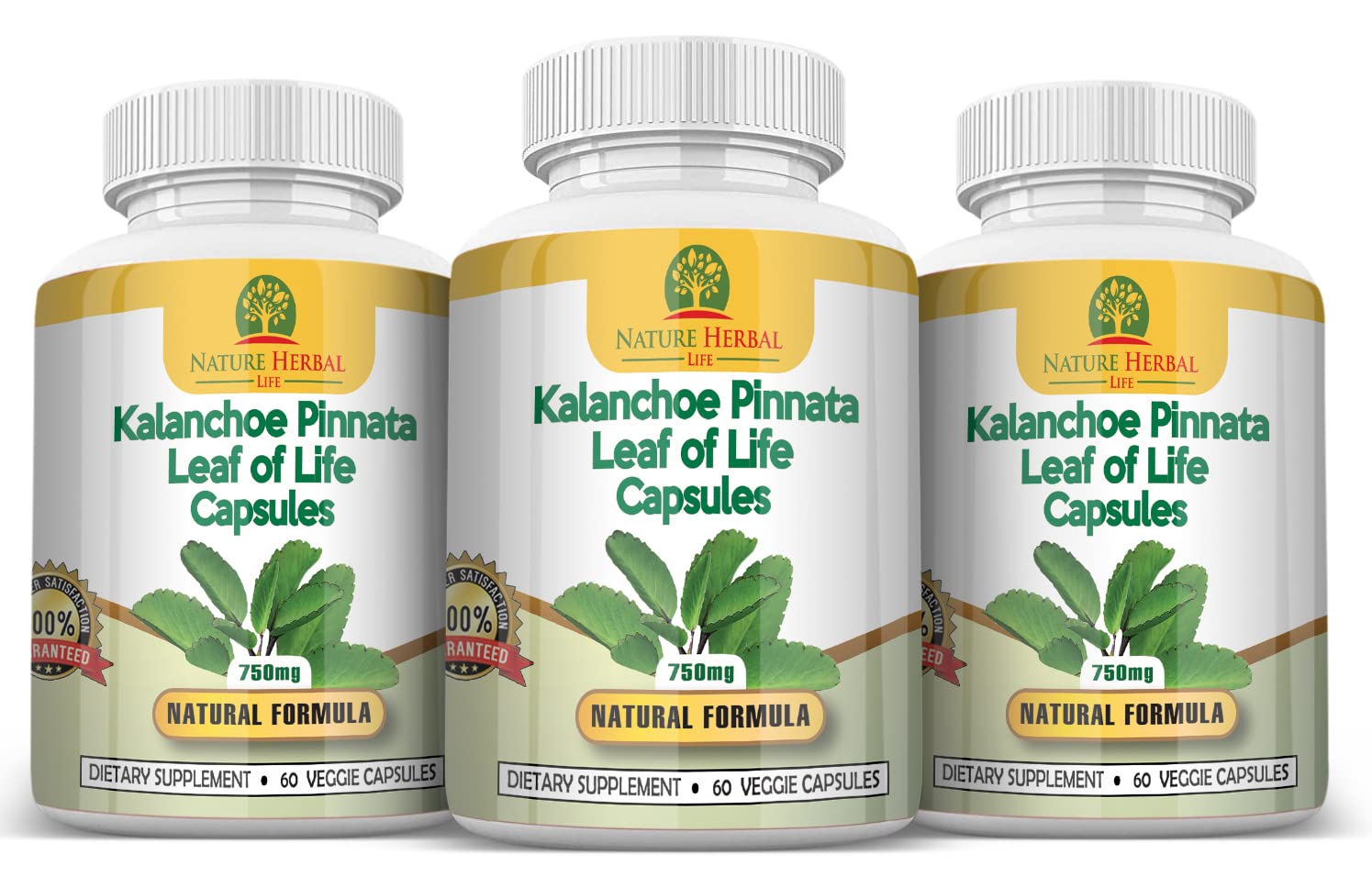 vegetarian blended vitamin & mineral supplements
