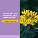 vegetarian capsules for adrenal health
