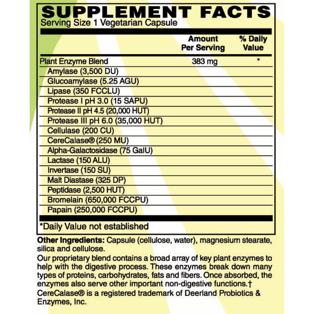 vegetarian capsules for better digestion