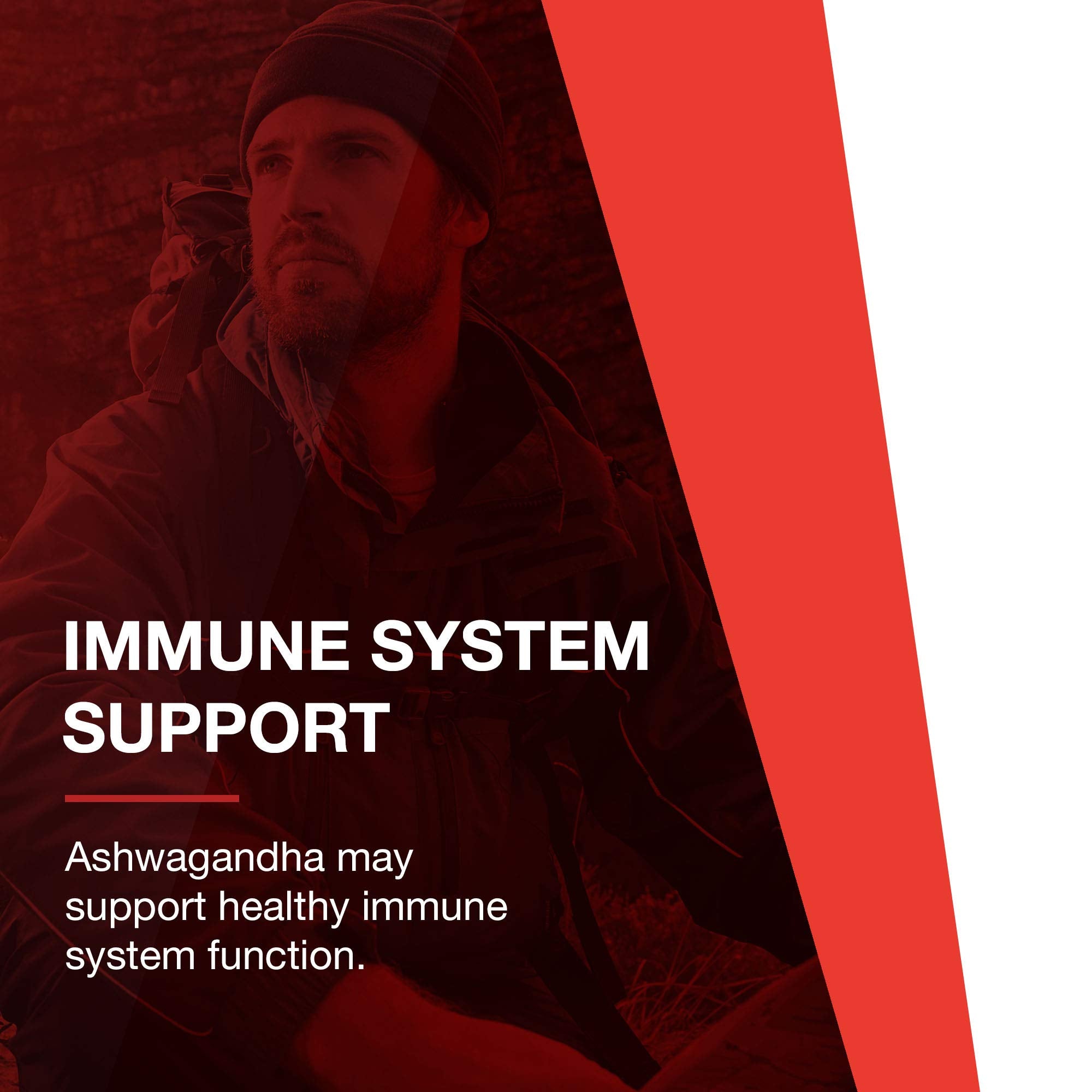 vegetarian capsules for daily wellness