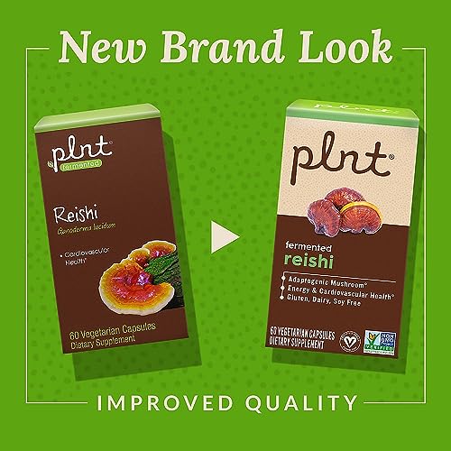 vegetarian capsules for daily wellness