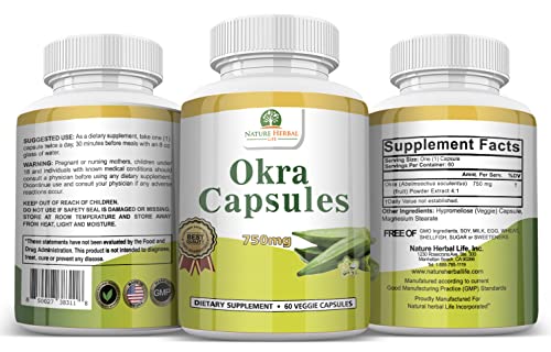 vegetarian capsules for daily wellness