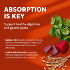 vegetarian capsules for digestive health