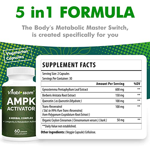 Vegetarian capsules for energy boost