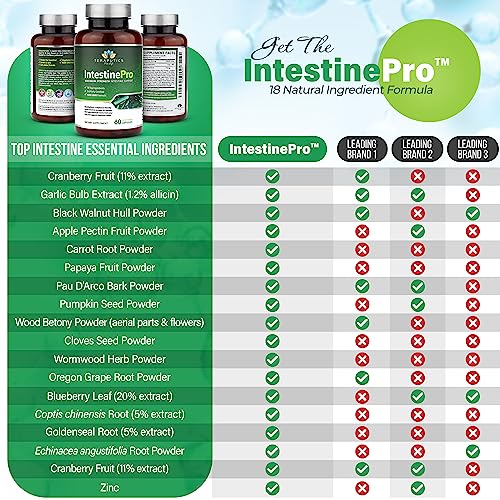 vegetarian capsules for gut wellness