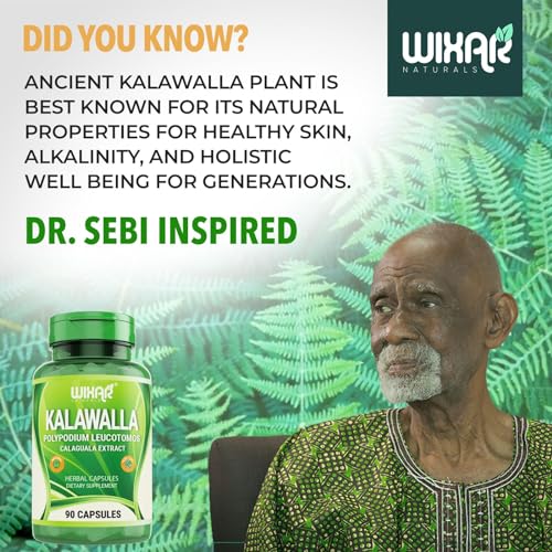 vegetarian capsules for health enthusiasts