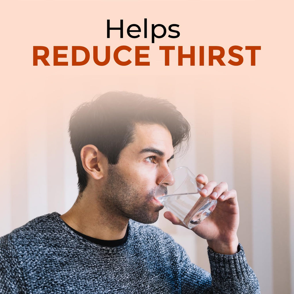 vegetarian capsules for holistic wellness