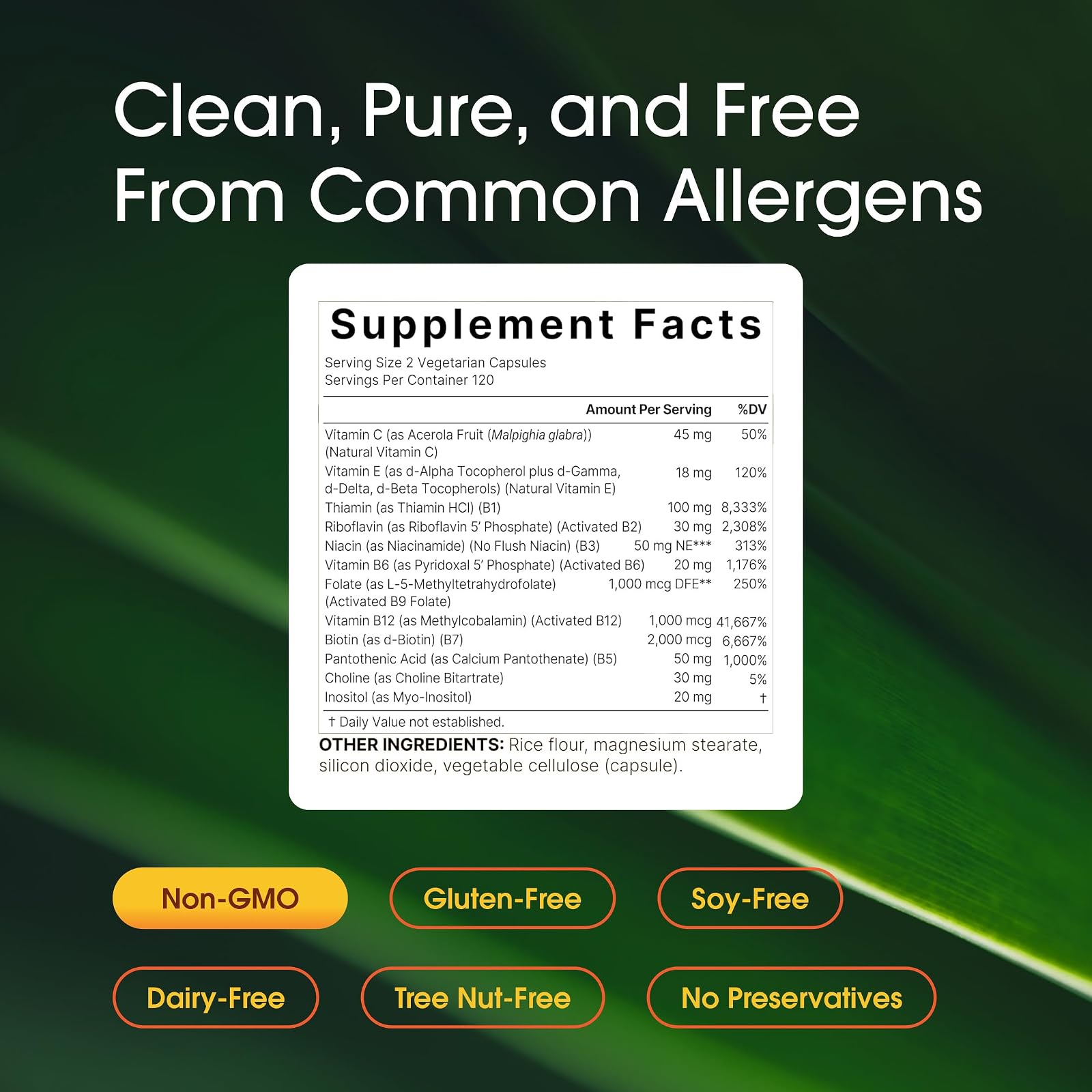 vegetarian capsules for methylated b complex