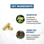 vegetarian capsules for mineral support