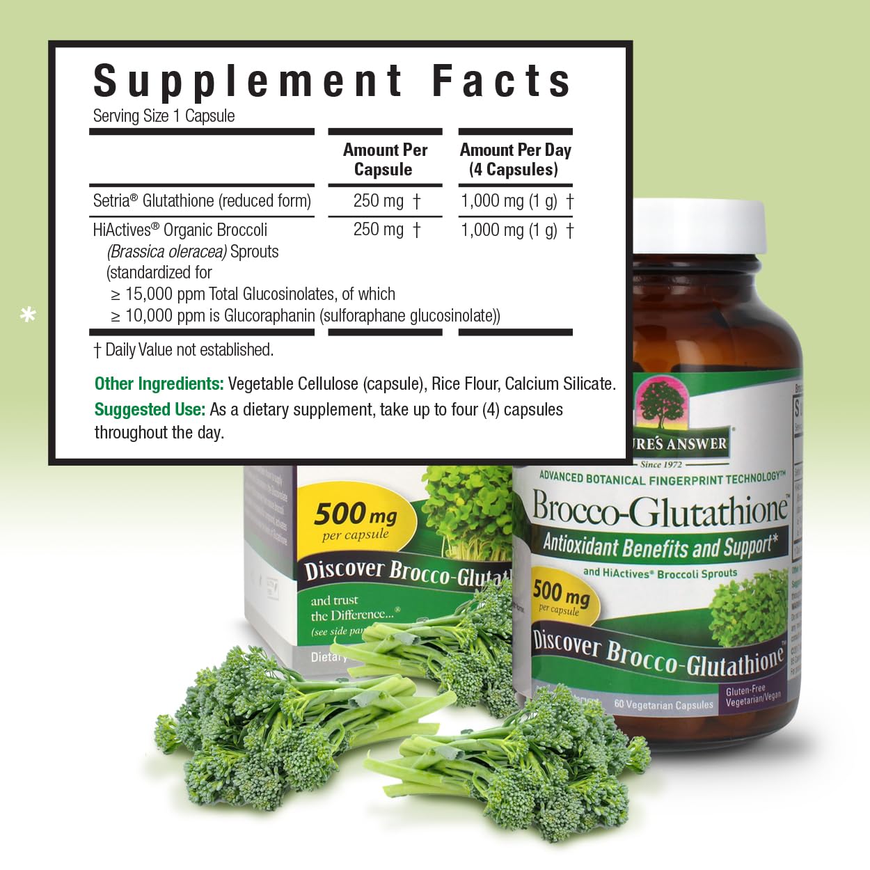 vegetarian capsules for optimal wellness