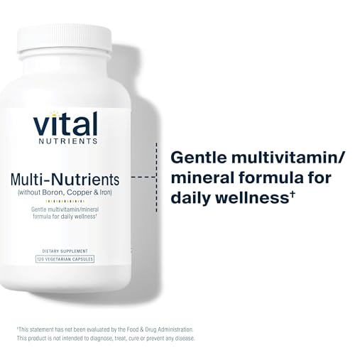 vegetarian daily multivitamin for energy