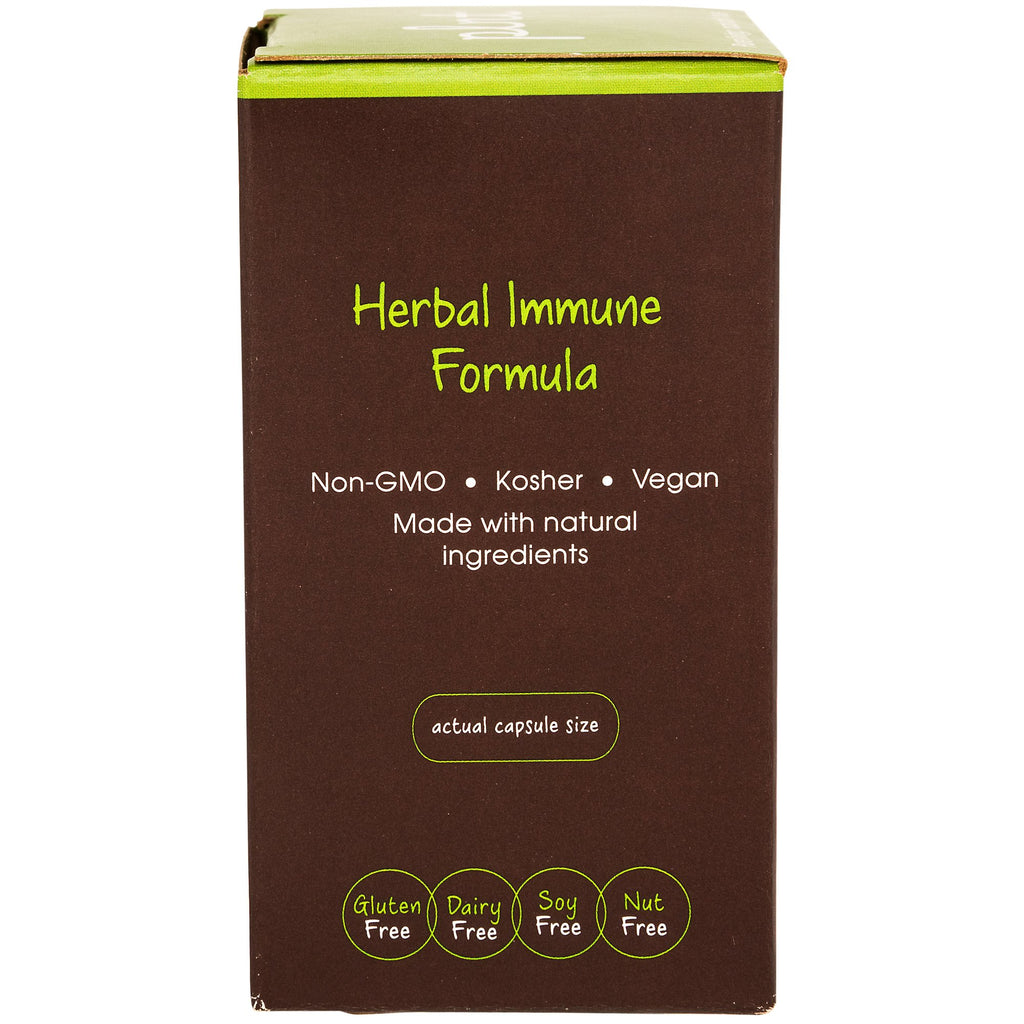 vegetarian echinacea for holistic health