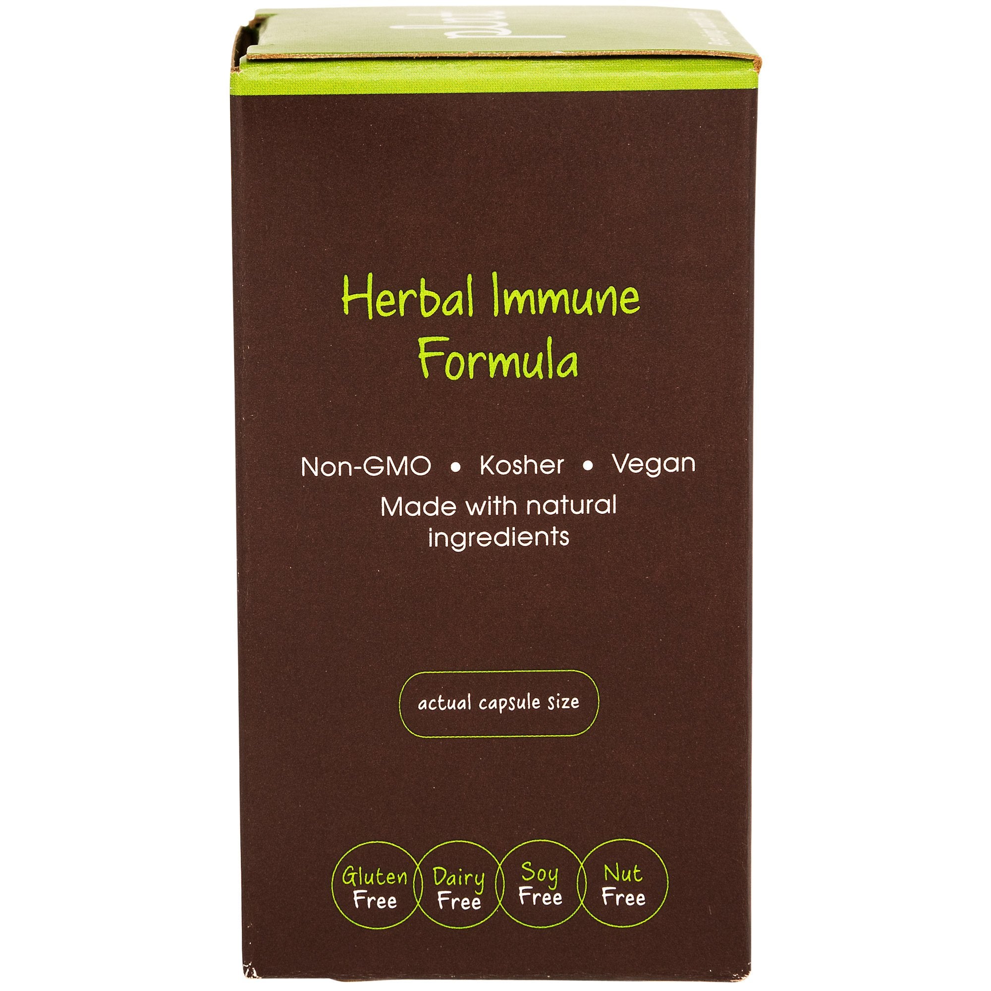 vegetarian echinacea for holistic health