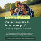 Vegetarian echinacea gummies for adults