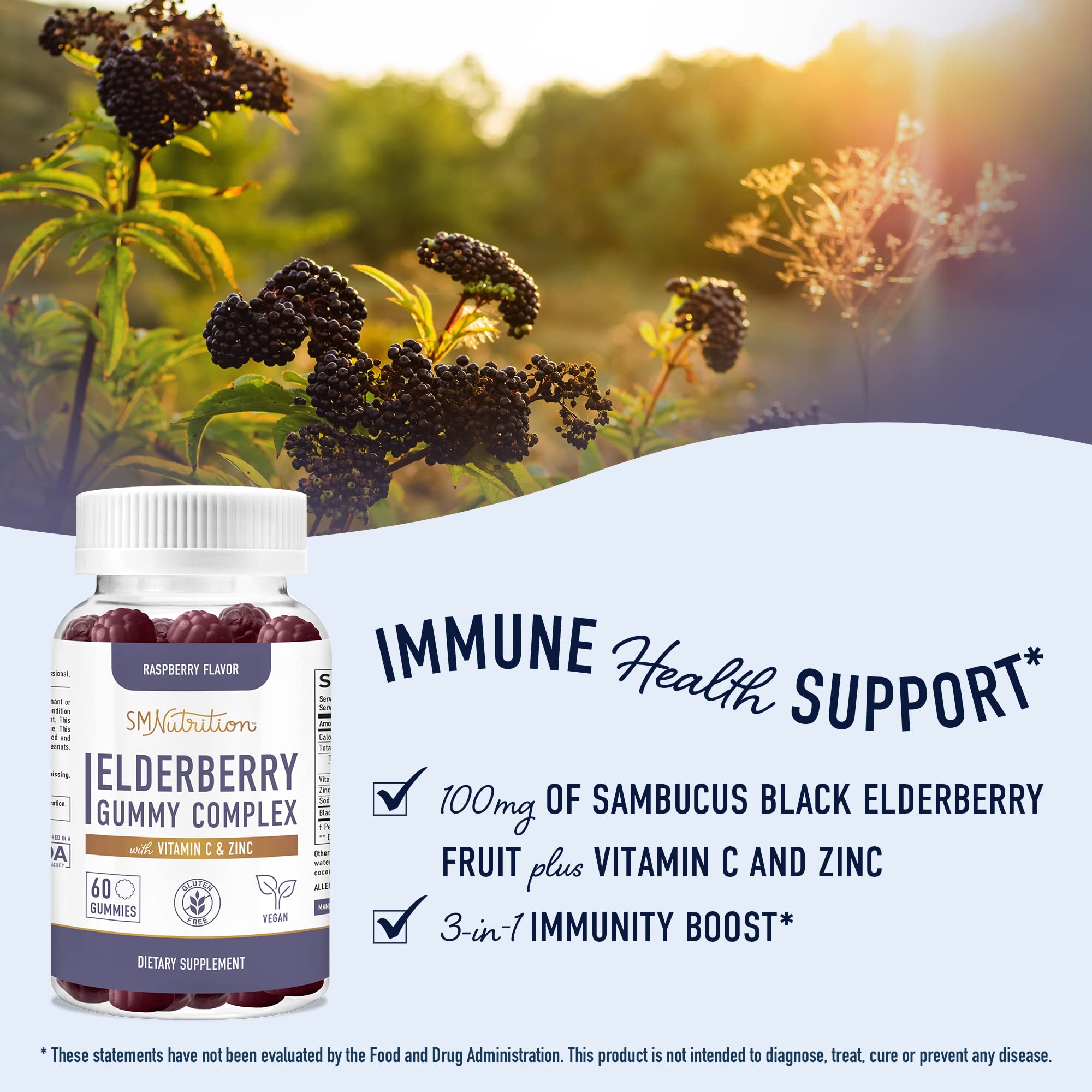 Vegetarian elderberry gummies for health