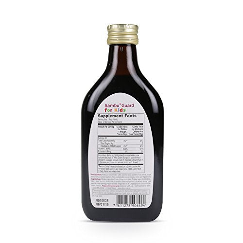 vegetarian elderberry syrup with echinacea