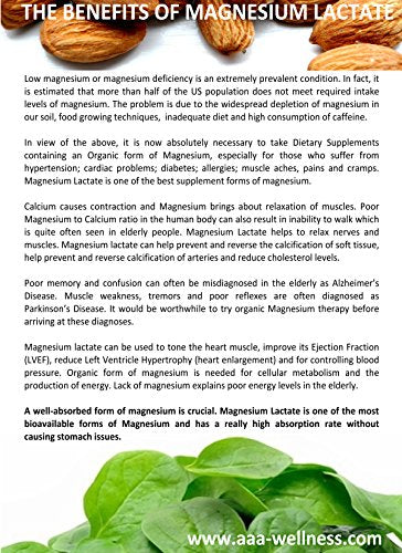 vegetarian-friendly magnesium for health