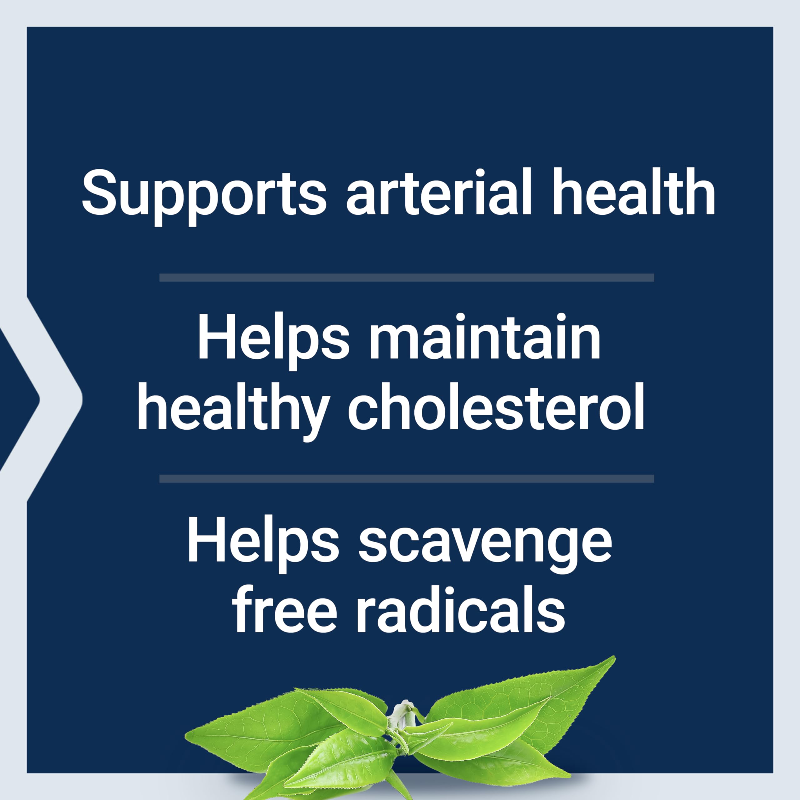 vegetarian-friendly supplements for daily nutrition
