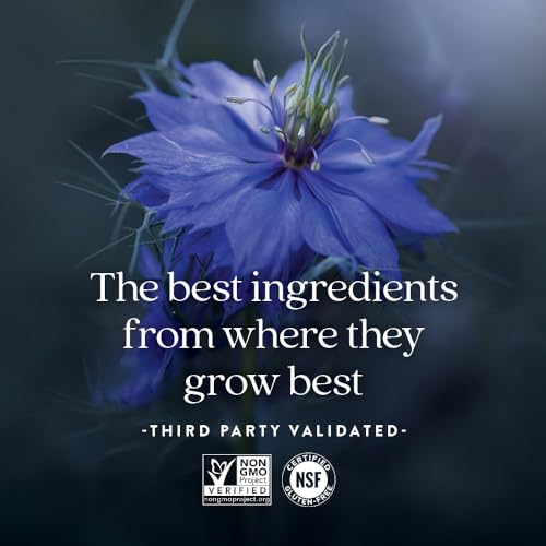 vegetarian-friendly turmeric health boost
