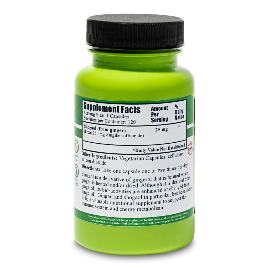 Vegetarian ginger capsules for digestion