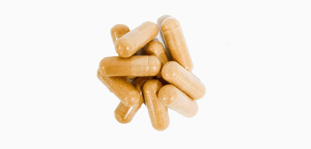 vegetarian ginkgo biloba tablets