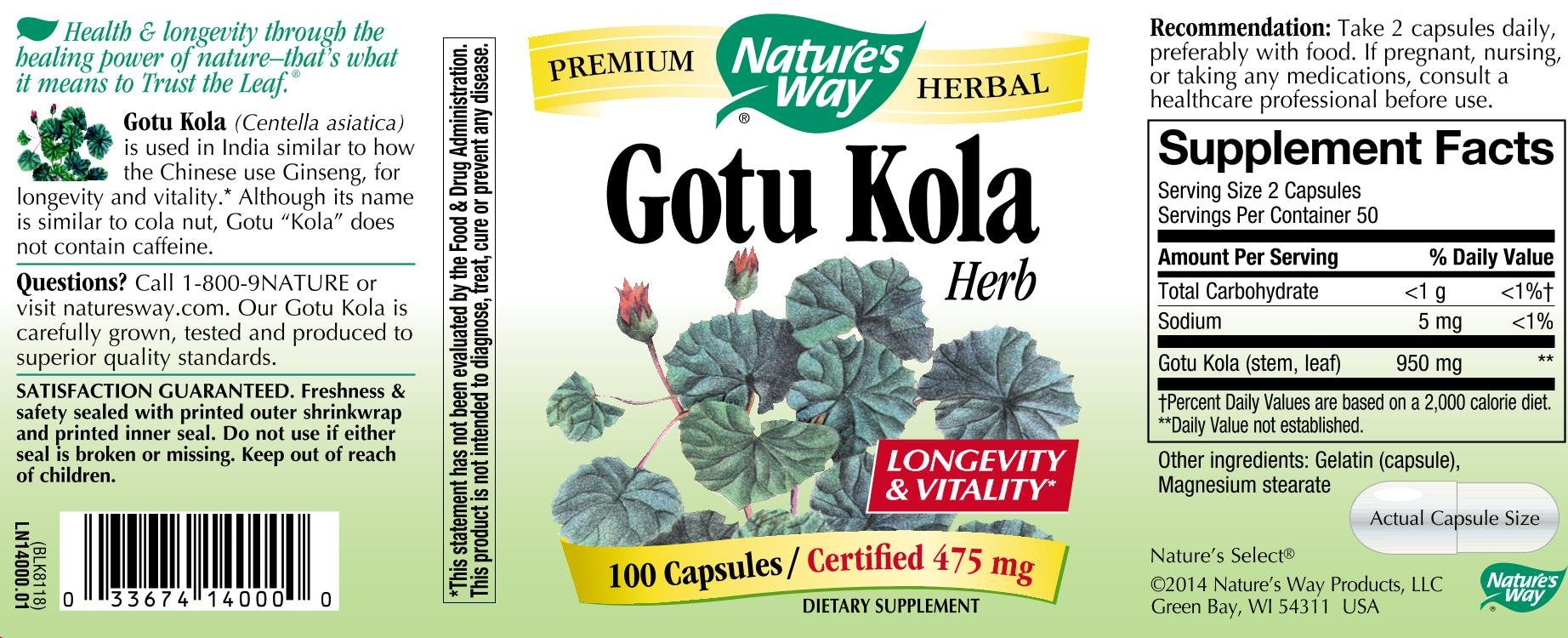 vegetarian gotu kola health benefits