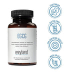 vegetarian green tea extract benefits