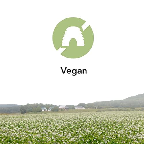 vegetarian immune support formula
