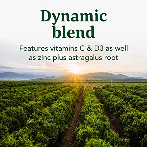 Vegetarian immune support formula