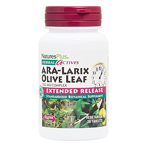 vegetarian immune support supplement