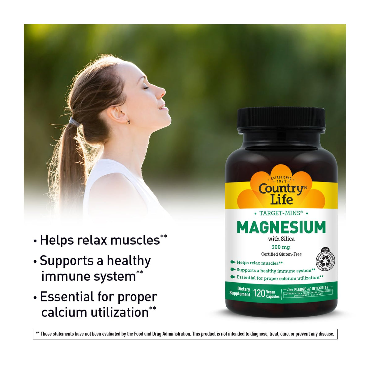 Vegetarian magnesium bisglycinate supplement