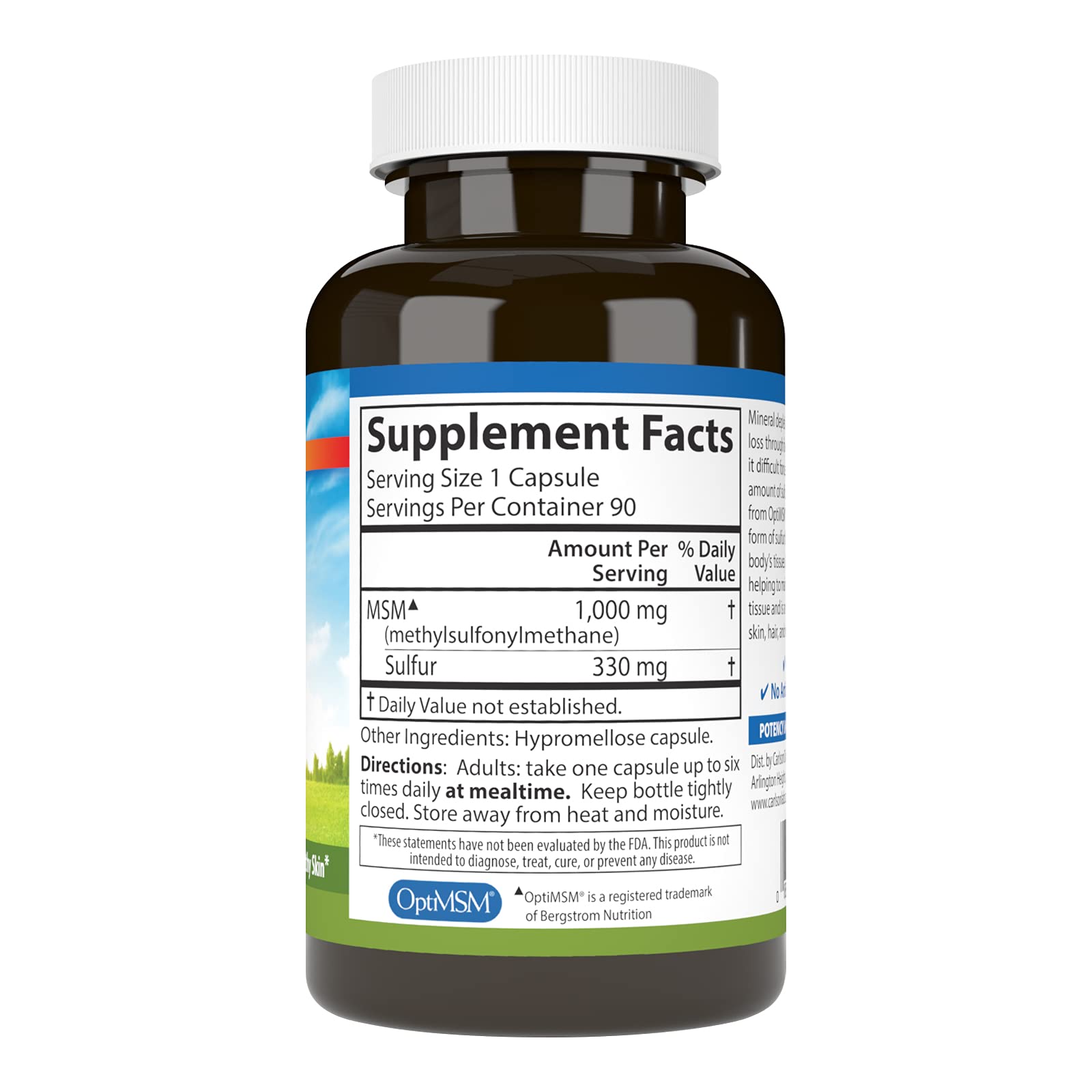 vegetarian msm supplement for joints