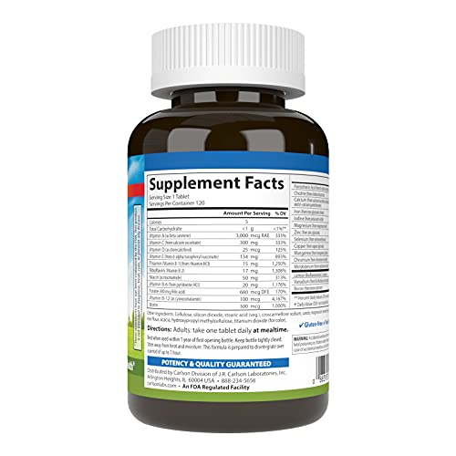 vegetarian multivitamin for active lifestyles
