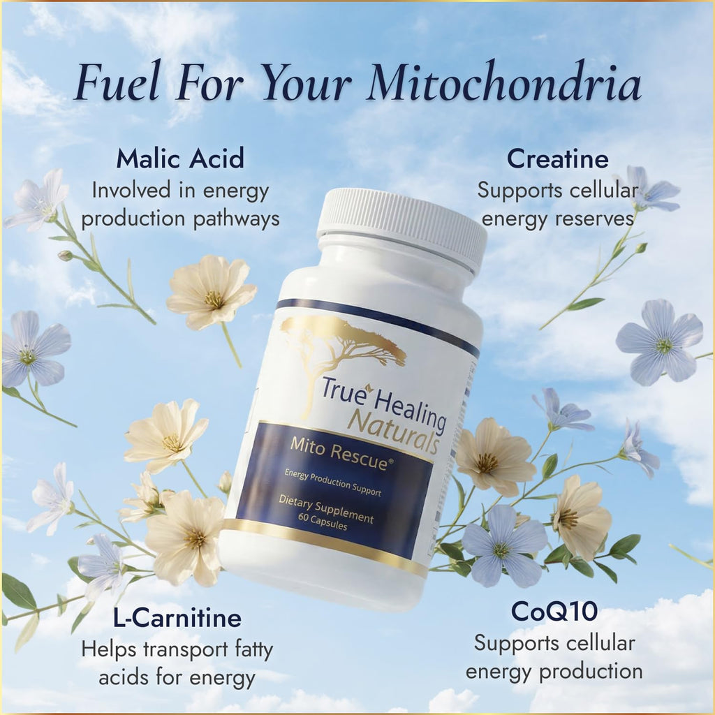 Vegetarian multivitamins for energy support