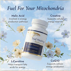 Vegetarian multivitamins for energy support