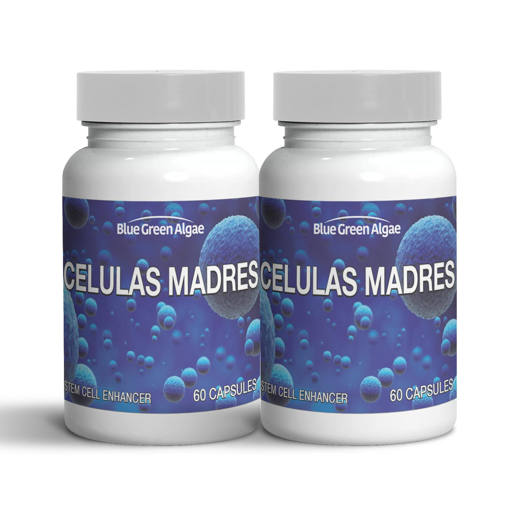 vegetarian multivitamins for wellness