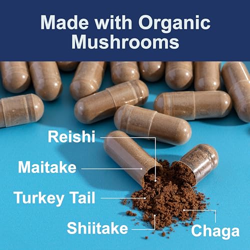 vegetarian mushroom blend capsules