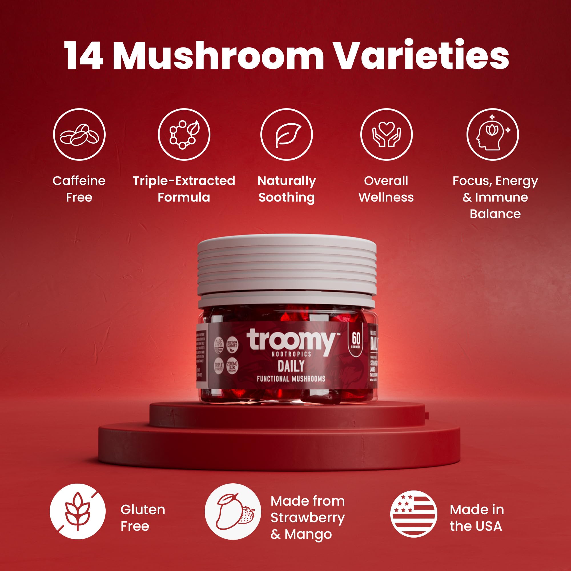 Vegetarian mushroom blend for wellness