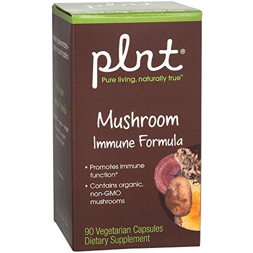 vegetarian mushroom supplement for wellness