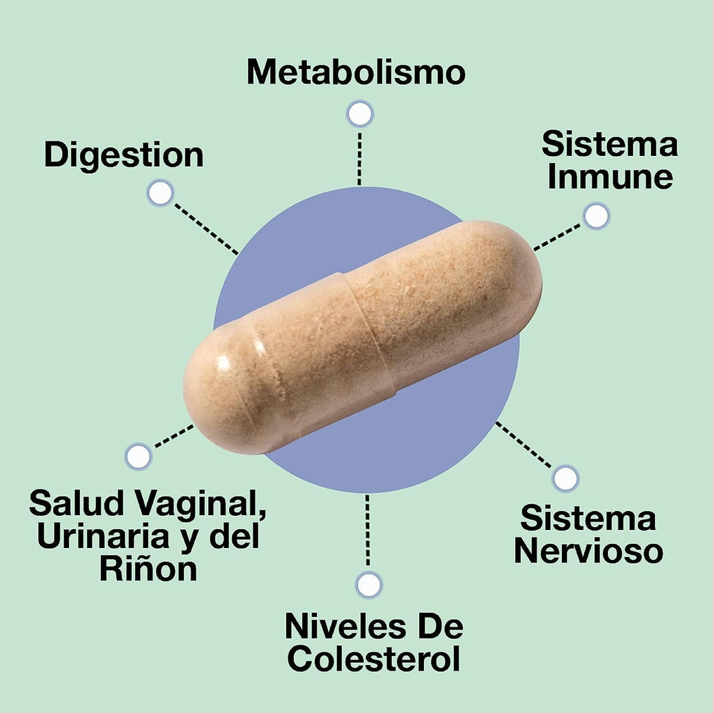 vegetarian probiotic capsules for gut balance