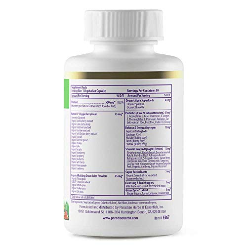 vegetarian probiotics for digestive health