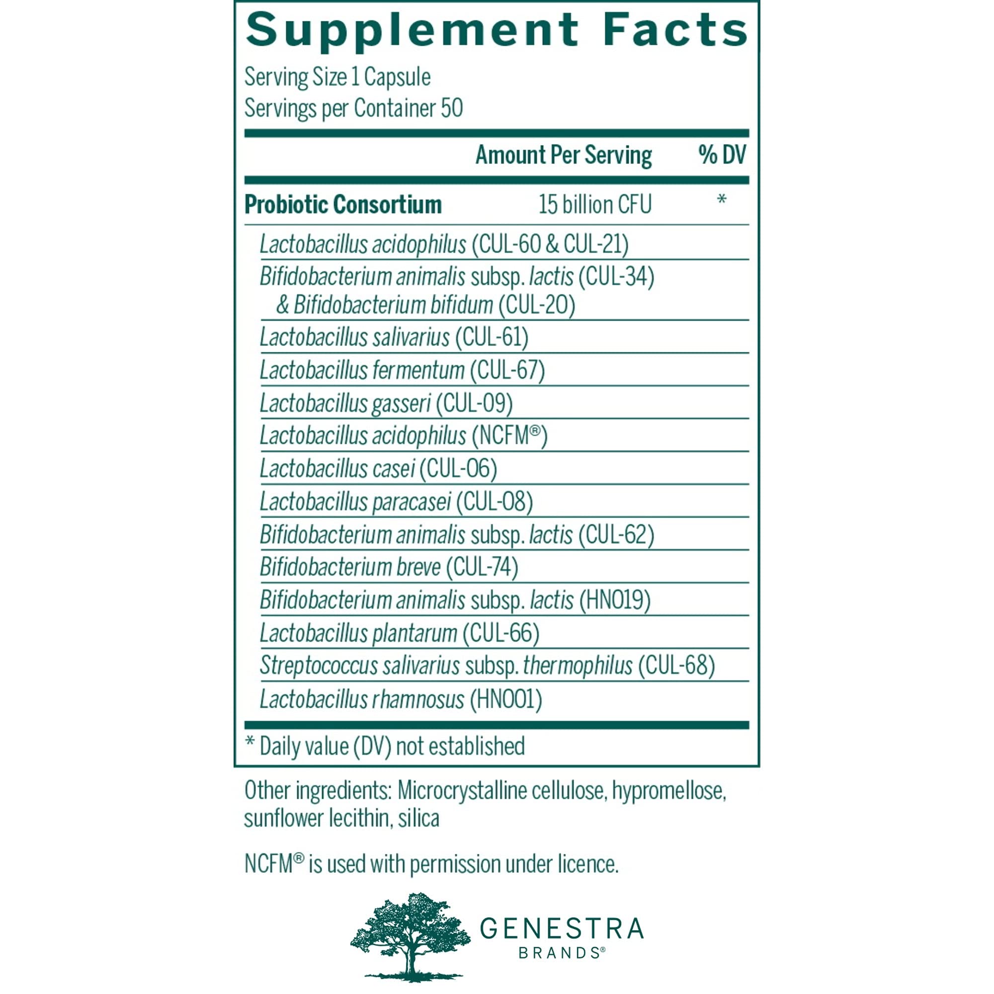 vegetarian probiotics for gut health